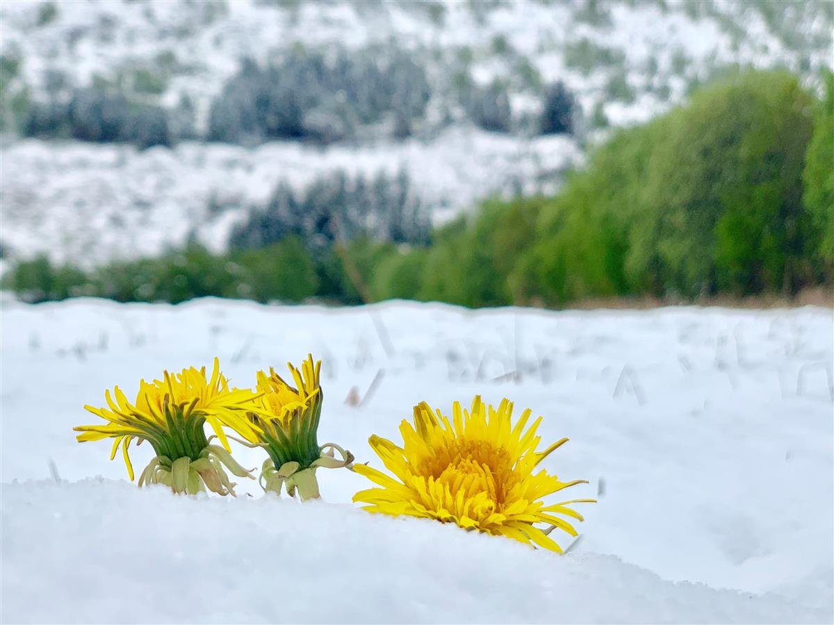 Ledige stillingar i skule og SFO – både lærarar og fagarbeidarar ... Ledige stillingar i skule og SFO – både lærarar og fagarbeidarar ...