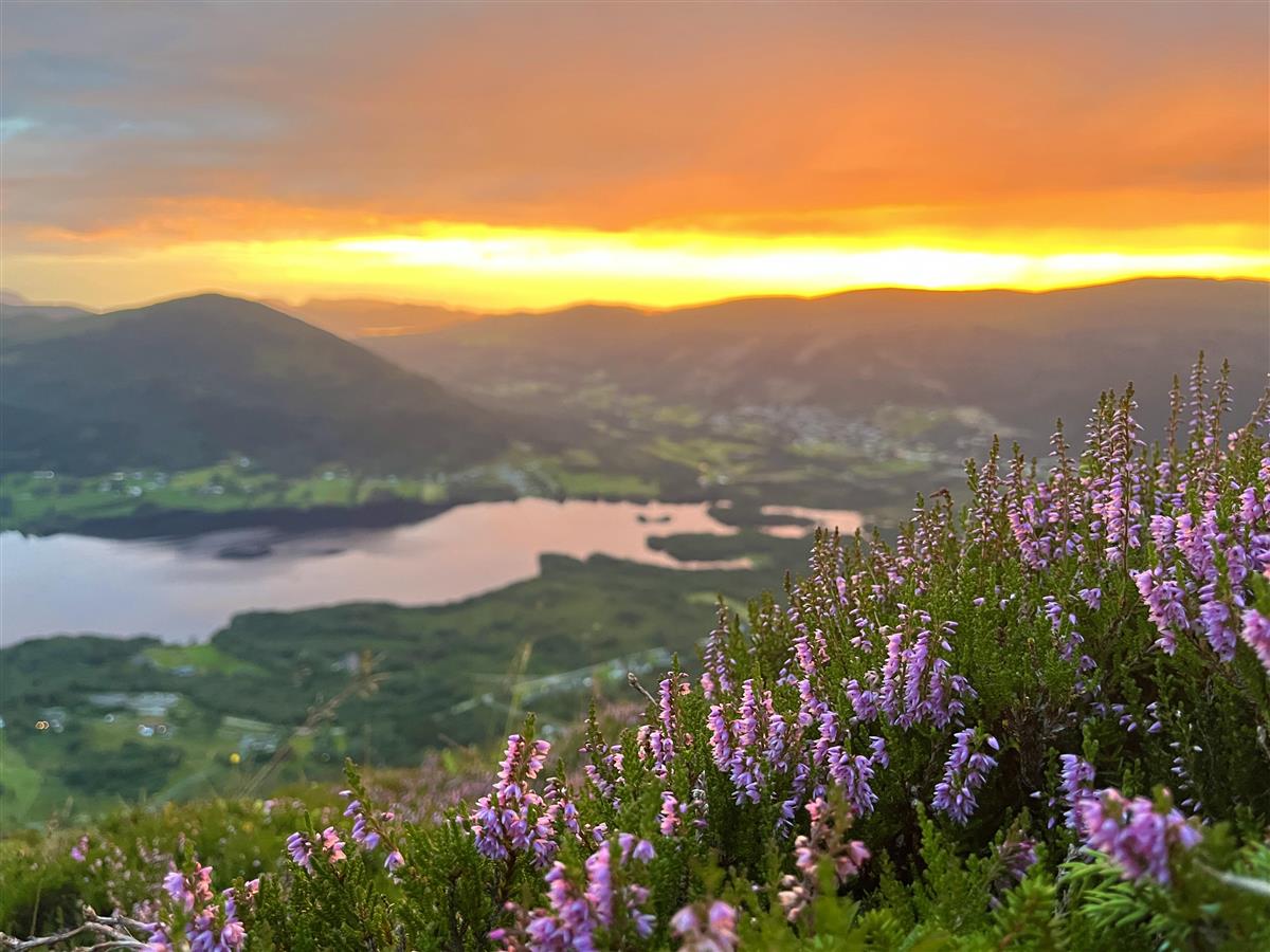 Meld deg på norskopplæring hausten 2025 - Hareid kommune